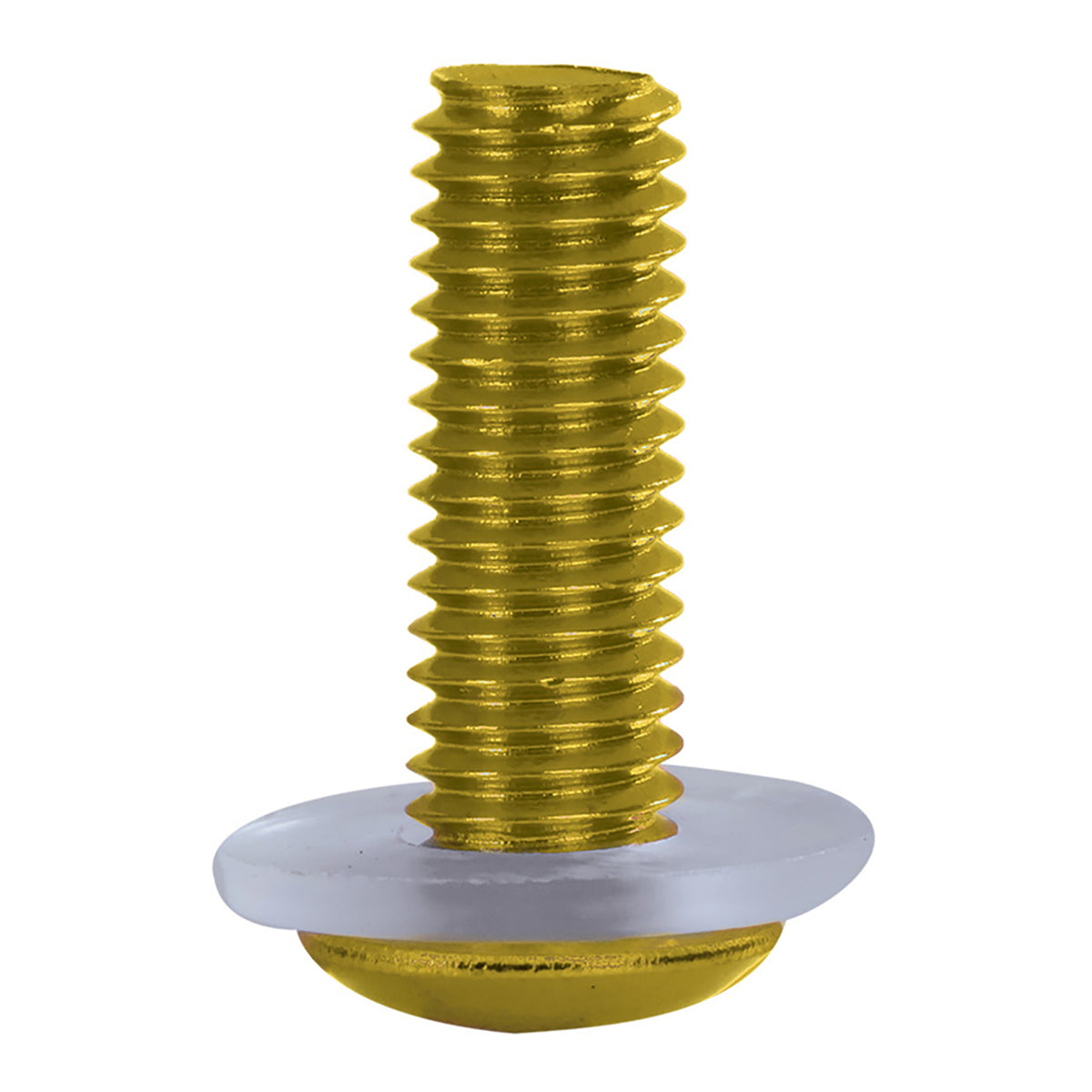 Oxford Screen Screws - Gold – Casbolts Motorcycles
